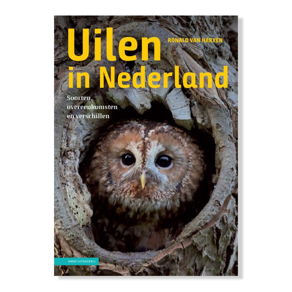 Uilen in Nederland kopen? | Vivara